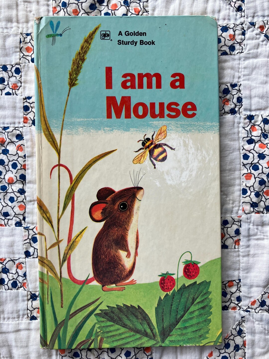 RARE "i Am a Mouse" Board Book, Children’s Board Book, 1964 - Etsy
