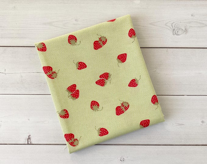 Hello Darling by Bonnie & Camille for Moda - 1/2 Yard - Etsy