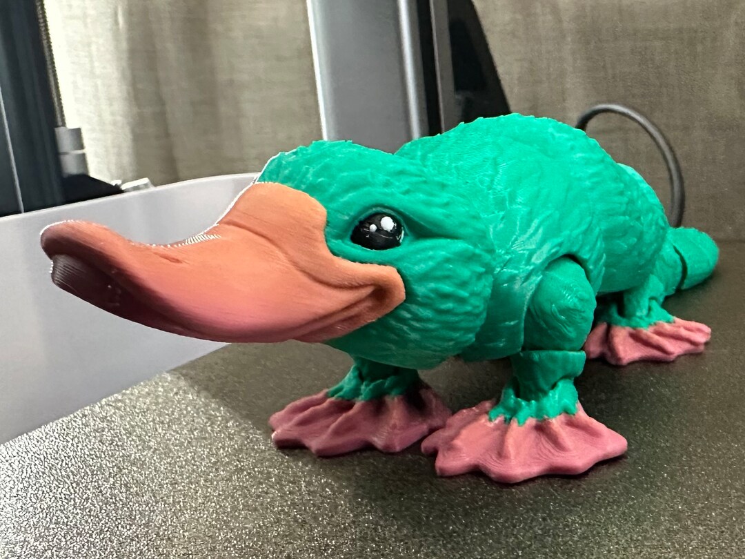 Plenty of Platypus Fun! Articulated Animal Toy - Etsy