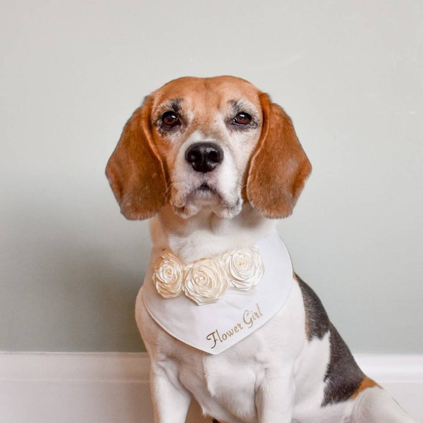 Dog Wedding Collar - Etsy