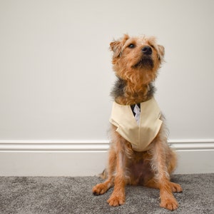 Dog Suit Harness Sewing Pattern, Bundle - Sizes XS-XL, Dog Tuxedo DIY ...