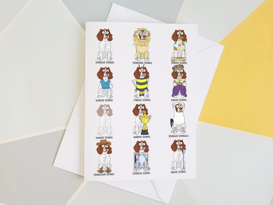 Springer Spaniel Card, Springer Spaniel Birthday Card, Springer Spaniel ...
