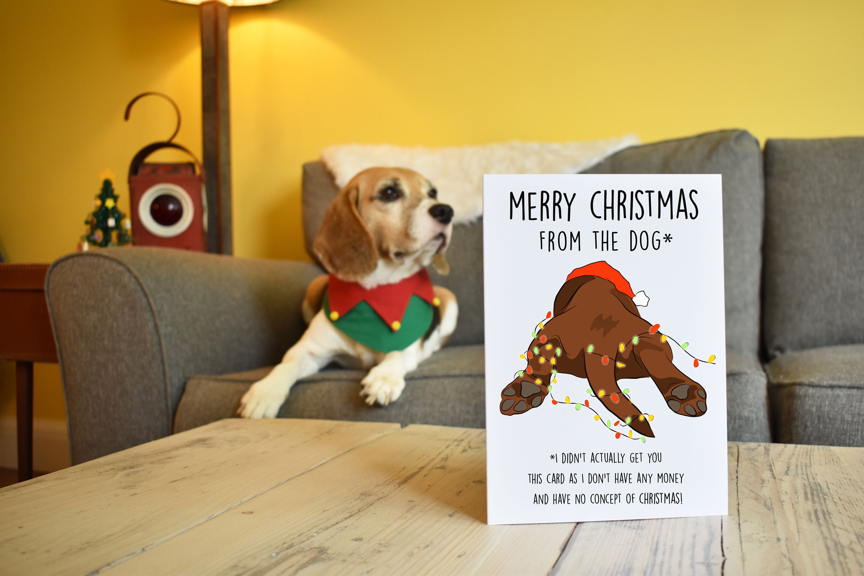 What To Get A Dog For Christmas