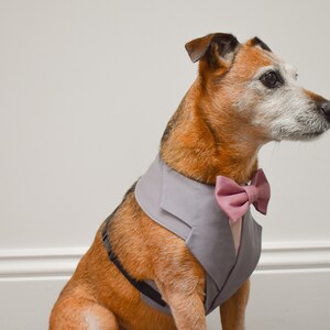 Dog Suit Harness Sewing Pattern, Bundle - Sizes XS-XL, Dog Tuxedo DIY ...