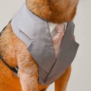 Dog Suit Harness Sewing Pattern, Size EXTRA Large, Dog Tuxedo DIY ...