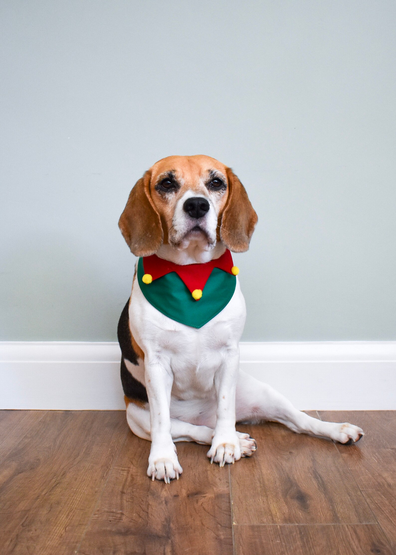 Elf Dog Bandana Christmas Dog Bandana Elf Dog Costume | Etsy UK