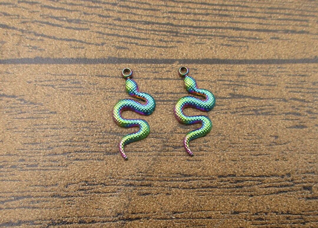 2 Stainless Steel Charms,rainbow Snakes-ss1051 - Etsy