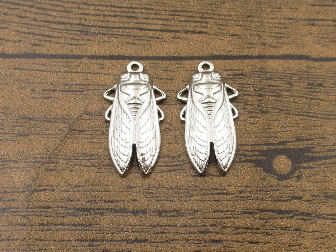 2 Stainless Steel Charms,cicadas-ss1055 - Etsy