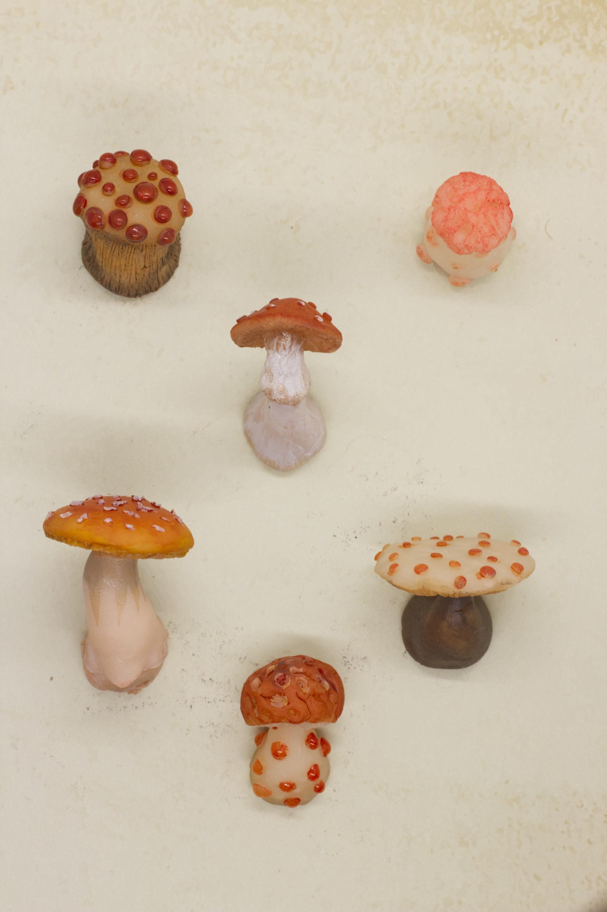 Decorative Mushroom Magnets - Etsy