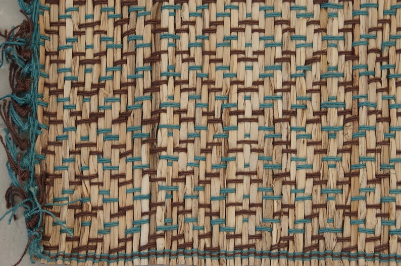 Turquoise Blue and Light Brown Natural Fiber Rug - Etsy