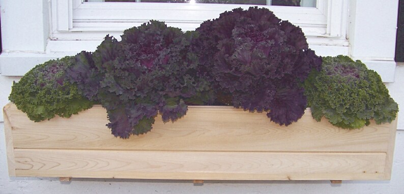 36" Standard White Cedar Window Box - Etsy