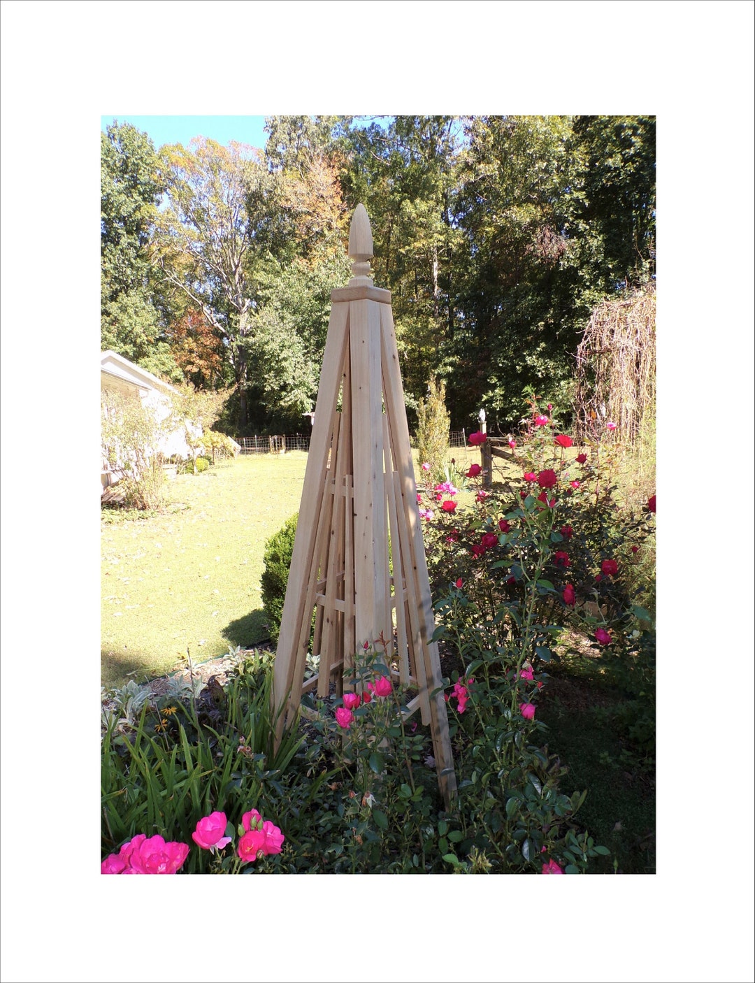 6'6" Cedar Obelisk - Etsy