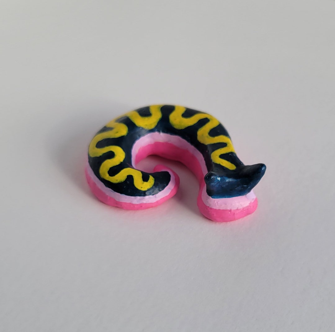 Adopt-a-slug: Squidgy - Etsy
