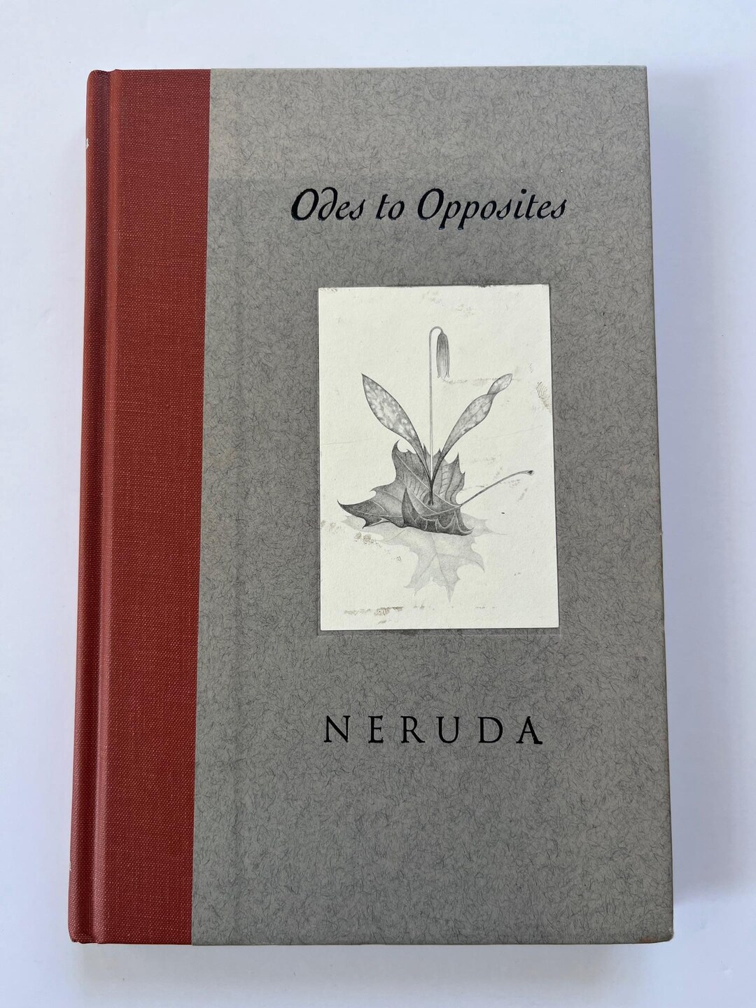 PABLO NERUDA ~ Odes to Opposites: Bilingual Edition, Hardcover, Book ...