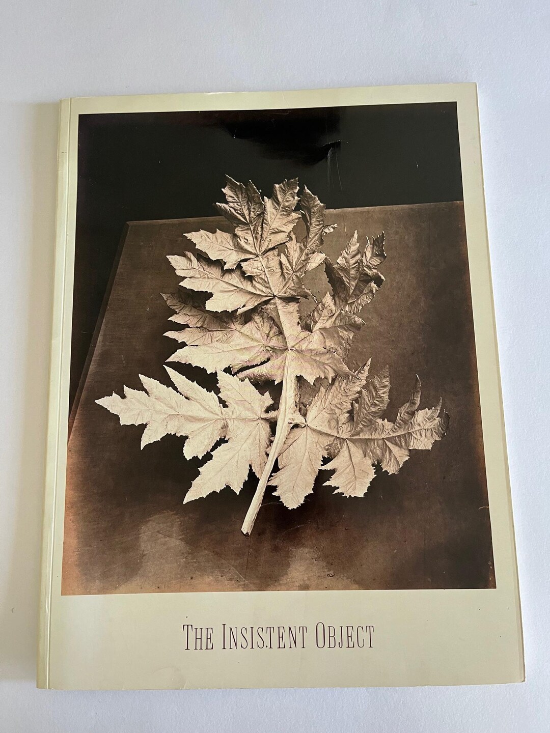 INSISTENT OBJECT Photographs 1845-1986 ~ Fraenkel Gallery ~ Exhibition ...