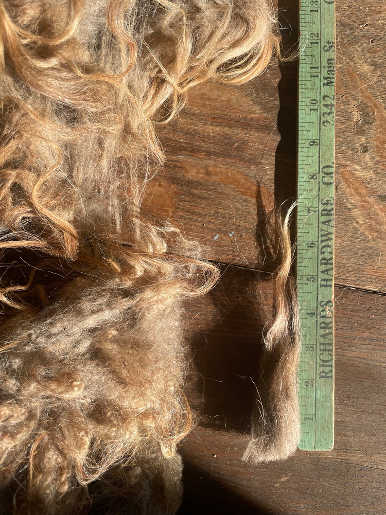 Raw Sheep Wool (4.75lb) - Etsy