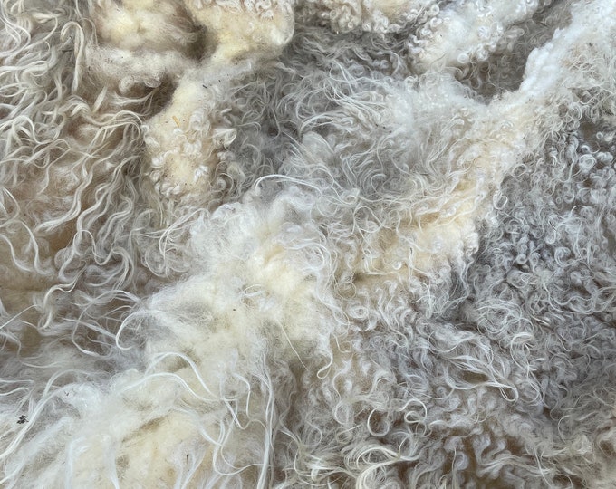 Raw Sheep Wool 2.25 Lbs - Etsy