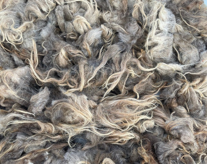 Raw Sheep Wool 2.25 Lbs - Etsy
