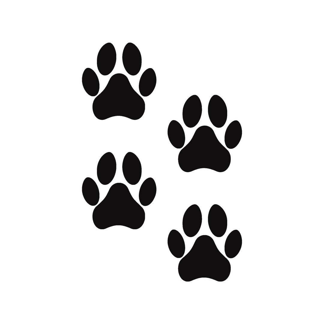 Set of 4 Dog Paw Print Vinyl Stickers Die Cut Decals - Etsy