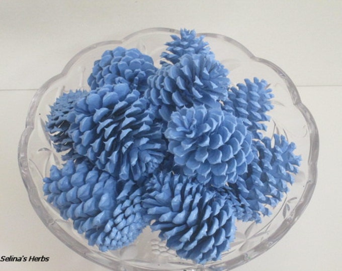 Light Blue Pine Cone, Painted Blue Cone, Centerpiece Cone, Pinecone ...