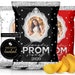 Silver Prom Chip Bag Prom Favor Bag Prom Send off Chip Bag - Etsy