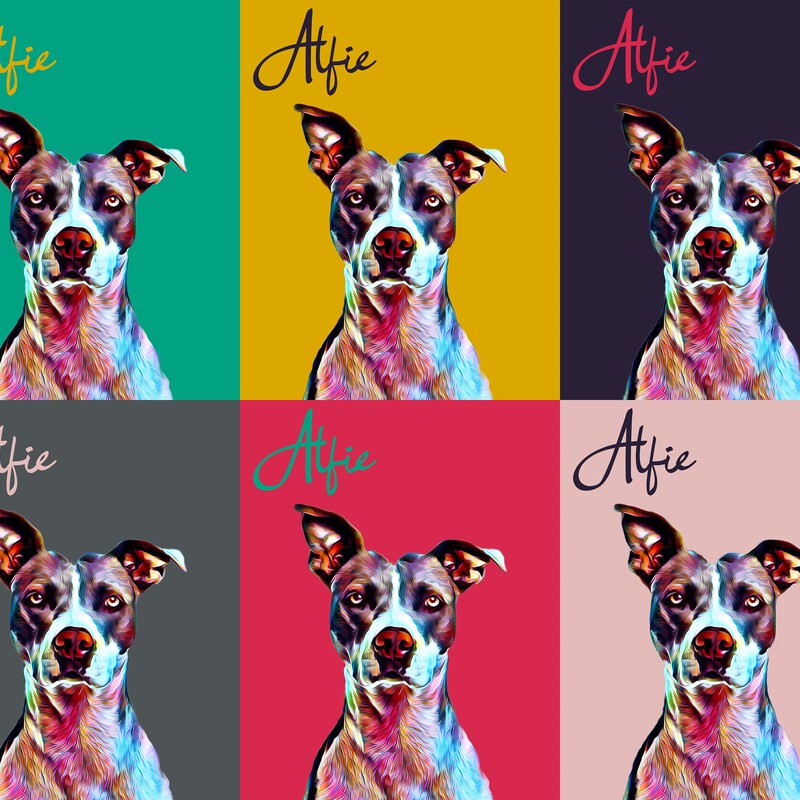 Pop Art Dog Portrait - Etsy