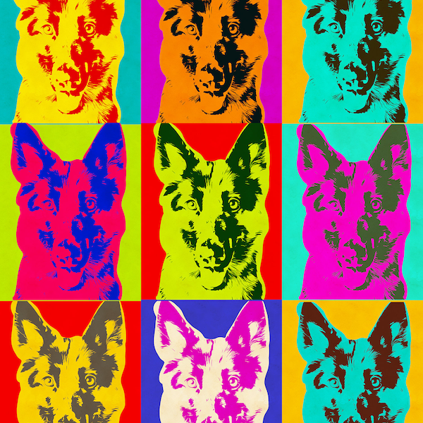 Pop Art Pet Portrait - Etsy