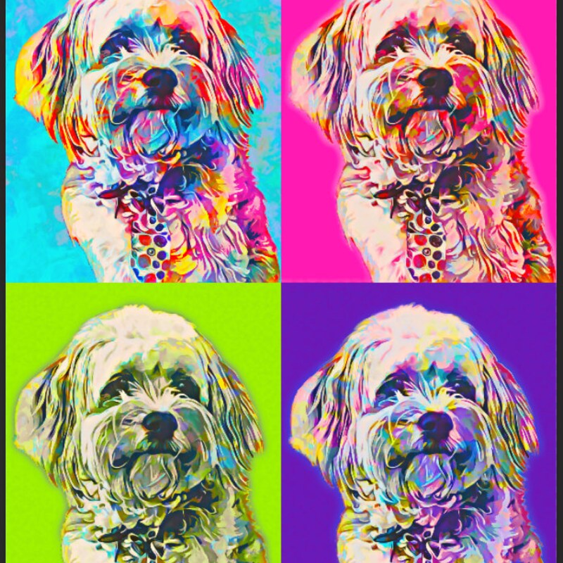 Custom Dog Portraits - Etsy
