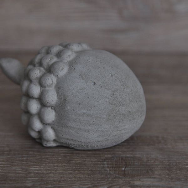 Acorn Decor - Etsy