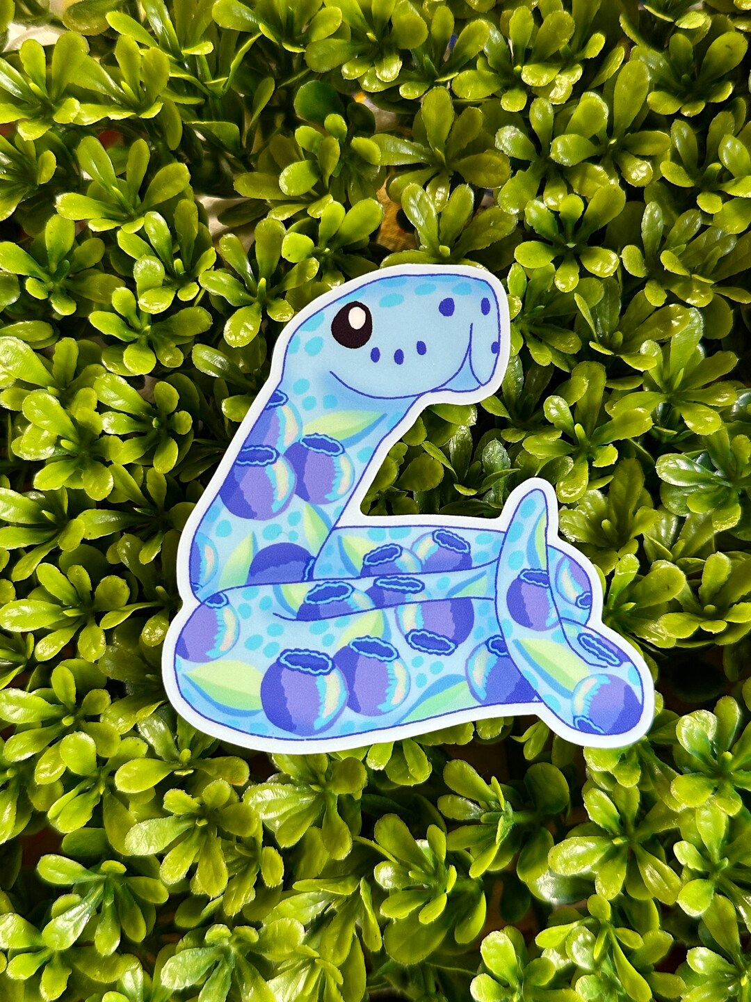 Blueberry Fruit Snake Vinyl Sticker — Snake Gift for Snake Moms and ...