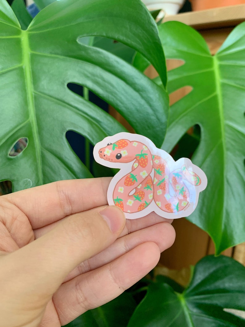 Strawberry Fruit Snake Vinyl Sticker Strawberry Snake Gift | Etsy