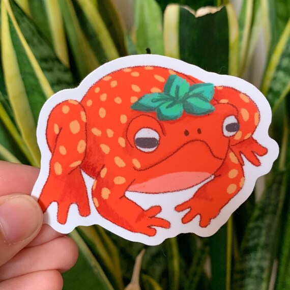 Strawberry Frog Sticker Cute Frog Sticker Look at You | Etsy