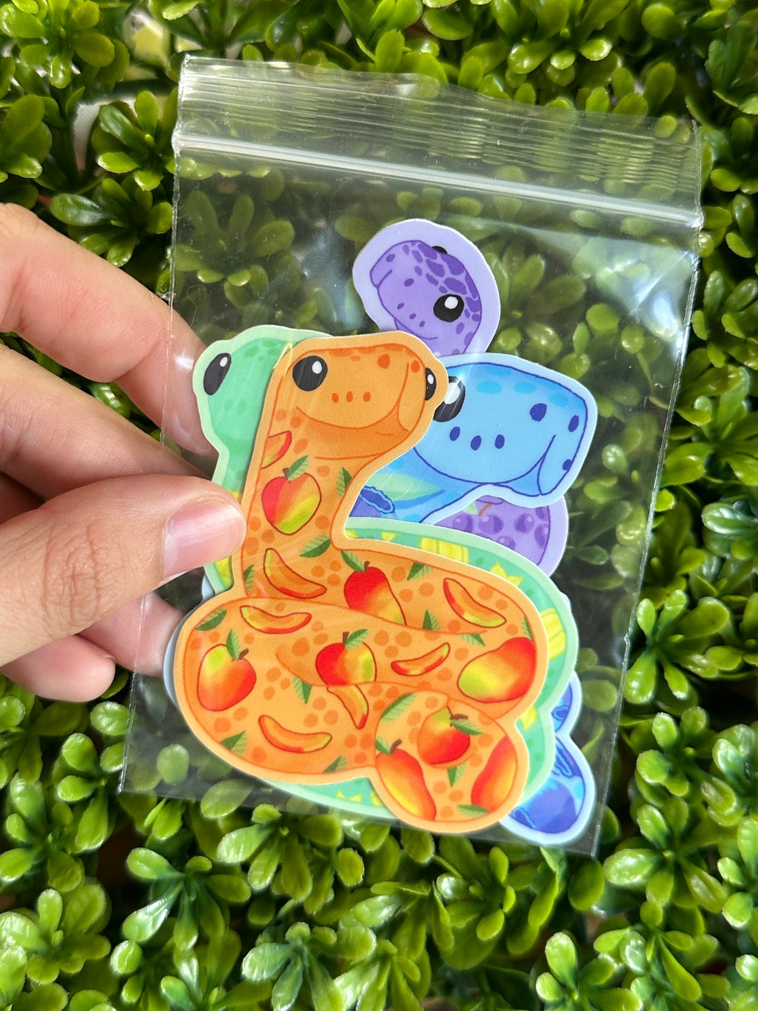 Fruit Snake Vinyl Sticker Pack Series 3 — Grape, Starfruit, Mango, and ...