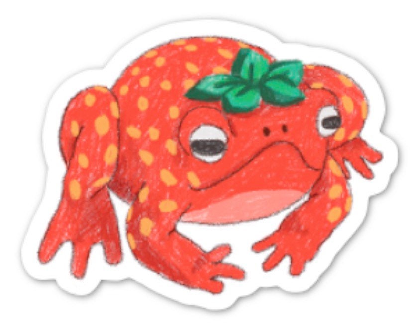 Strawberry Frog Sticker Cute Frog Sticker Look at You | Etsy