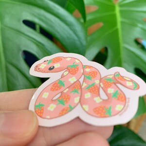 Strawberry Fruit Snake Vinyl Sticker Strawberry Snake Gift for Snake ...