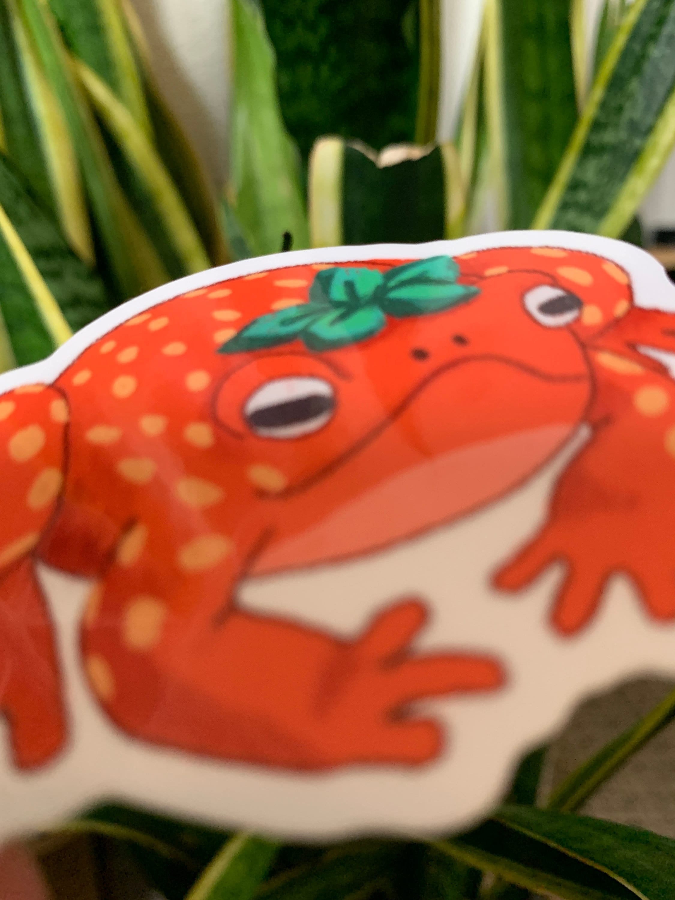 Strawberry Frog Sticker Cute Frog Sticker Look at You | Etsy