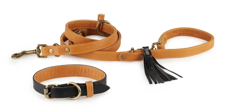 3 in 1 Leather Dog Leash and Collar - Etsy