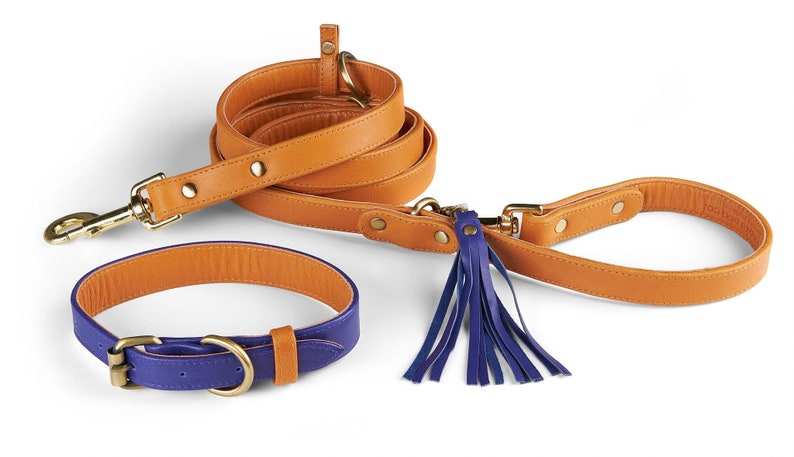 3 in 1 Leather Dog Leash and Collar - Etsy