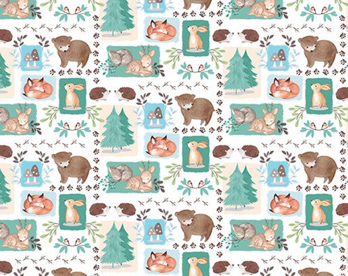 STELLA-DMB1672 CREAM CATTITUDE Quilt Fabric, Dear Stella Fabrics ...