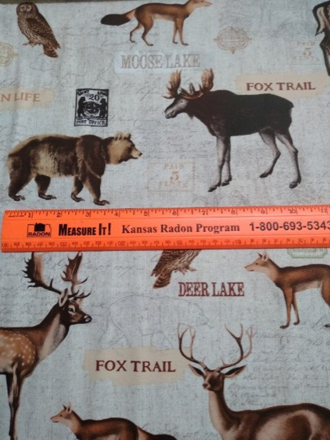 KATIE-C5256 WOODLAND ANIMAL Print Quilt Fabric Timeless | Etsy