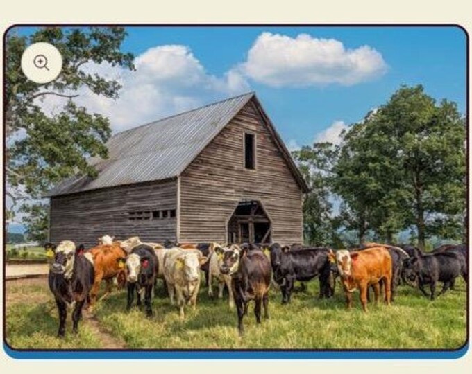 ACW-007 FEEDING TIME at the Barn Quilt Panel, Focus on Fabric, Panel ...