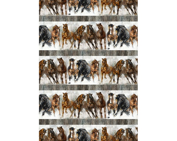 DP26811-92 STALLION BORDER STRIPE Quilt Fabric, Northcott Fabric ...