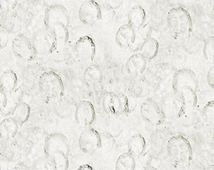 DP26814-91 STALLION HOOF TEXTURE Quilt Fabric, Northcott Fabric, Fabric ...