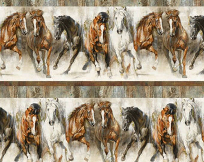 DP24641-12 SPIRITED BORDER PRINT Quilt Fabric, Northcott Fabrics ...