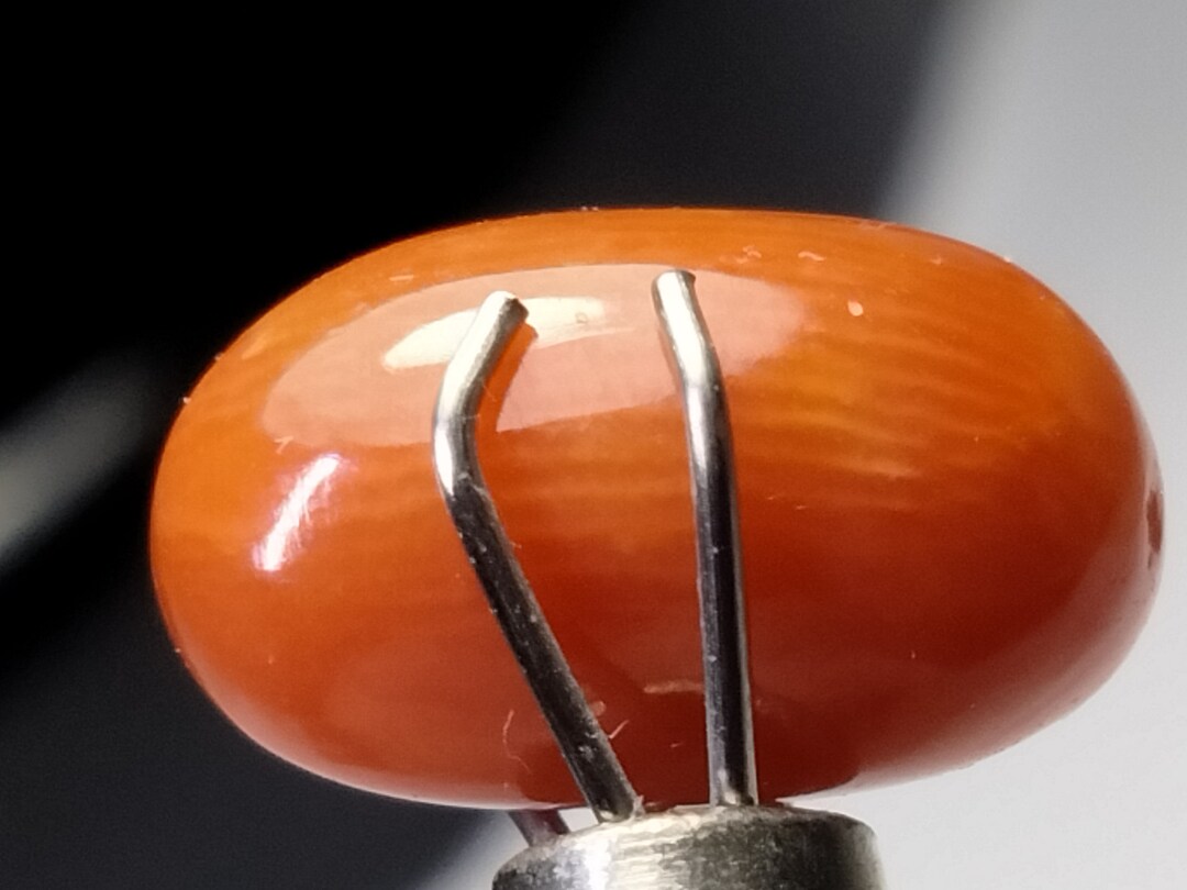 Attractive Natura Elongated Oval Shape Red Coral 2.40 Ct 10.5 X 6.4 X 4 ...