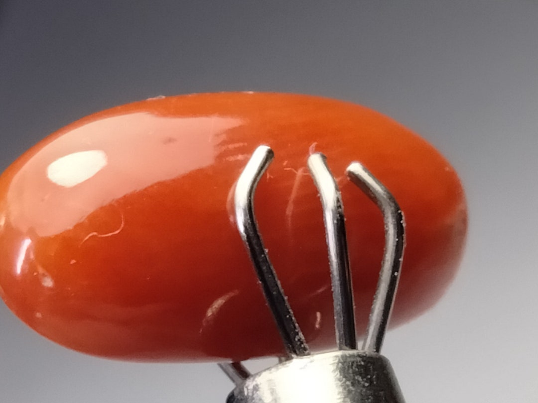 Attractive Natural Elongated Oval Shape Red Coral 2.60 Ct 12.6 X 6.7 X ...
