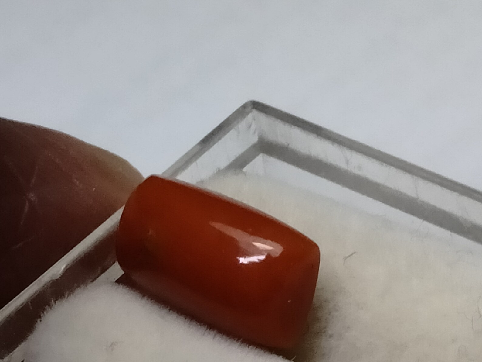 Aesthetic Natural Elongated Cushion Shape Red Coral 3.30 CT 17.0 X 6.1 ...