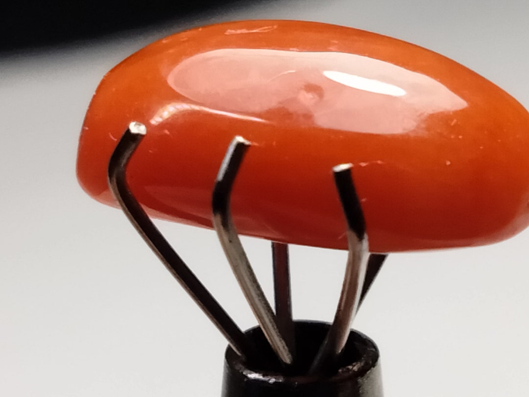 Aesthetic Natural Elongated Oval Shape Red Coral 3.15 CT 12.25 X 7.35 X ...
