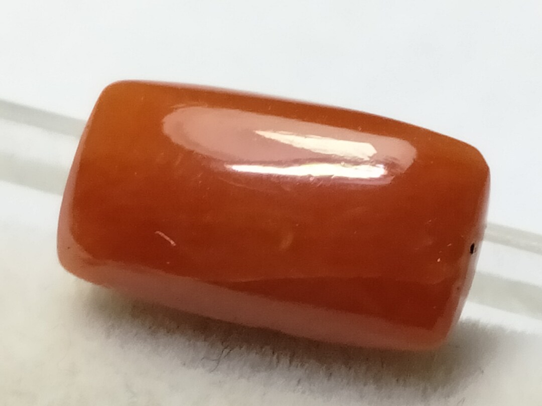 Aesthetic Natural Elongated Cushion Shape Red Coral 3.5 CT 11.8 X 6.5 X ...