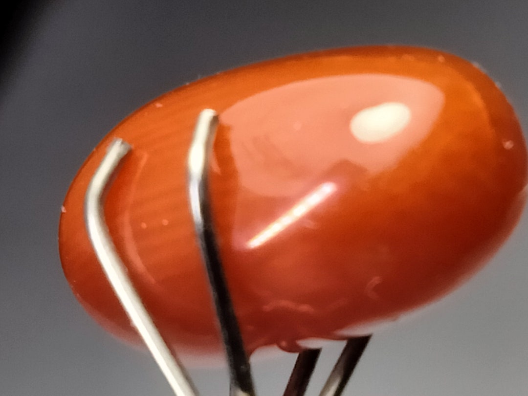 Aesthetic Natural Elongated Oval Shape Red Coral 3.05 Ct 11.3 X 6.5 X 5 ...